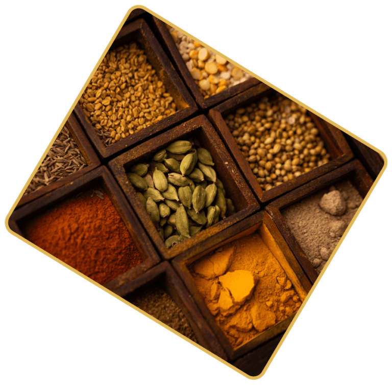 Trulyindian – Real Indian Food